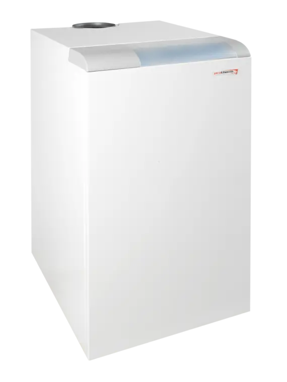 Купить Газовый напольный котел Protherm Медведь 40 TLO (Одноконтурный ...